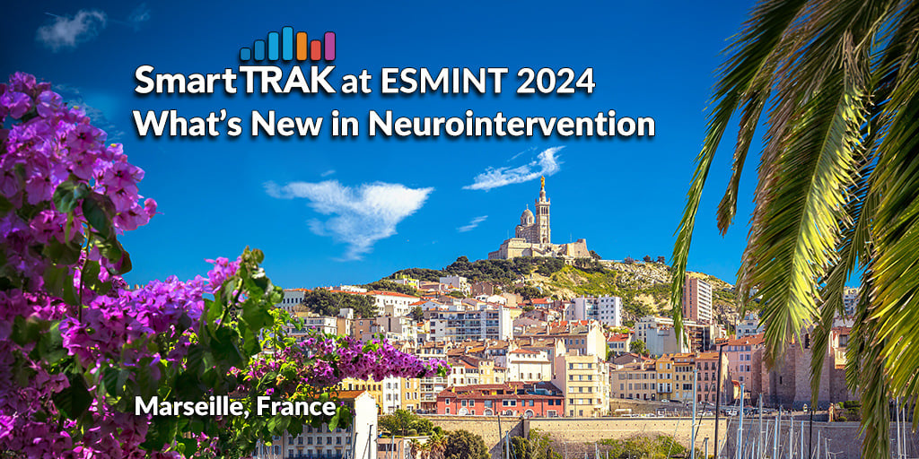 ESMINT 2024: What's New in Neurointervention